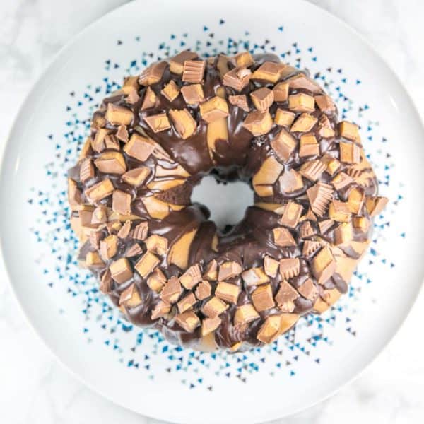 Best Bundt Cakes (+ Essential Bundt Baking Tips) | Bunsen Burner Bakery