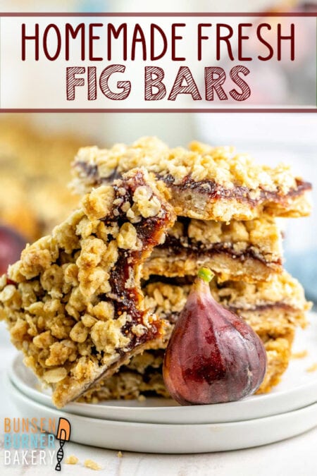 Homemade Fig Bars | Bunsen Burner Bakery