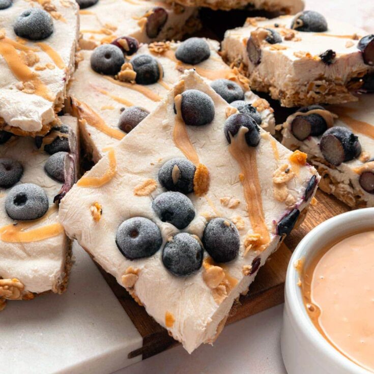 Homemade Frozen Yogurt Bars | Bunsen Burner Bakery
